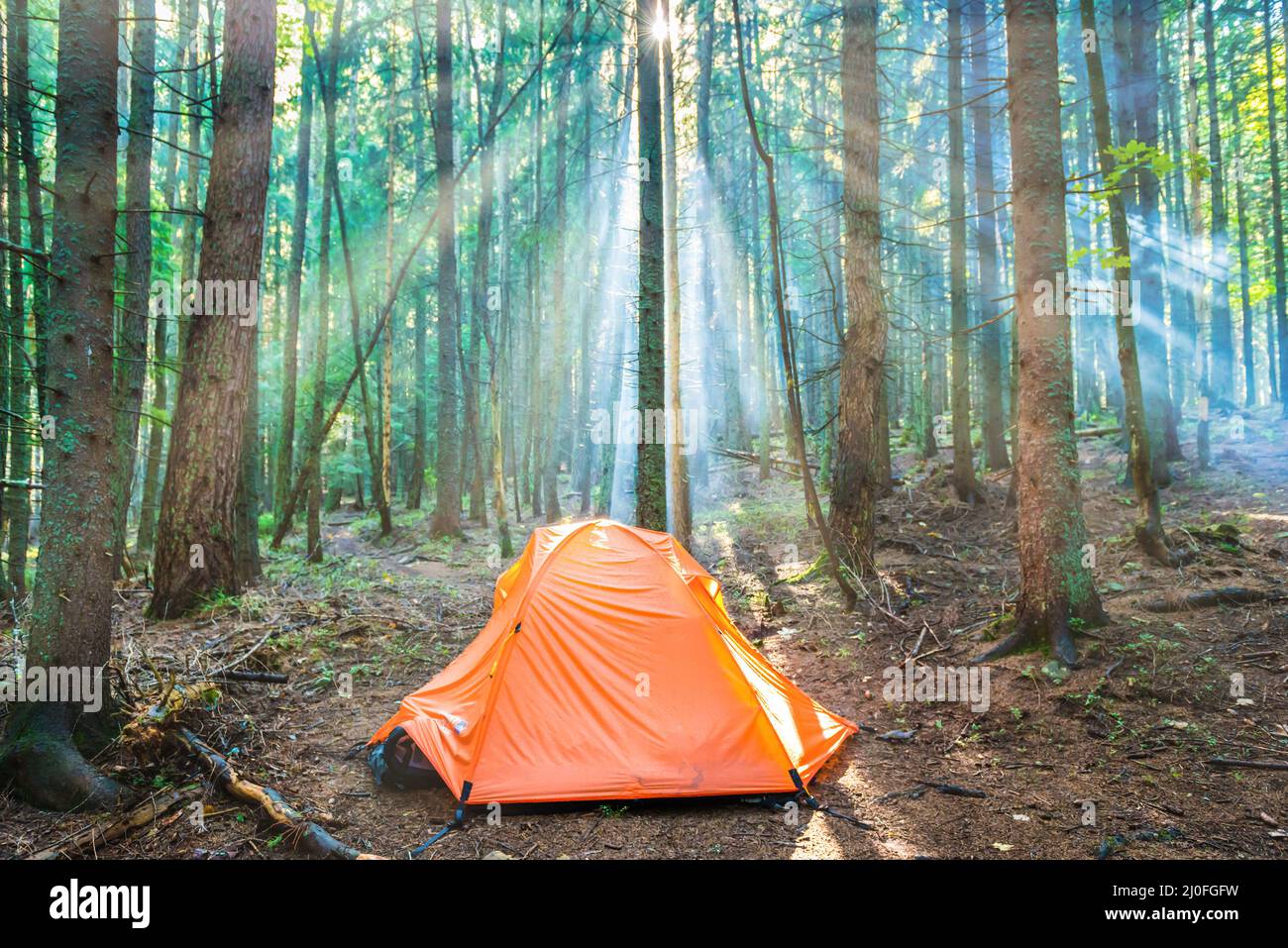 Orange tent in green forest Stock Photo - Alamy