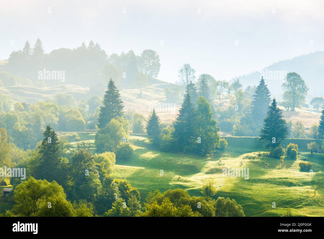 Green nature scene hi-res stock photography and images - Alamy