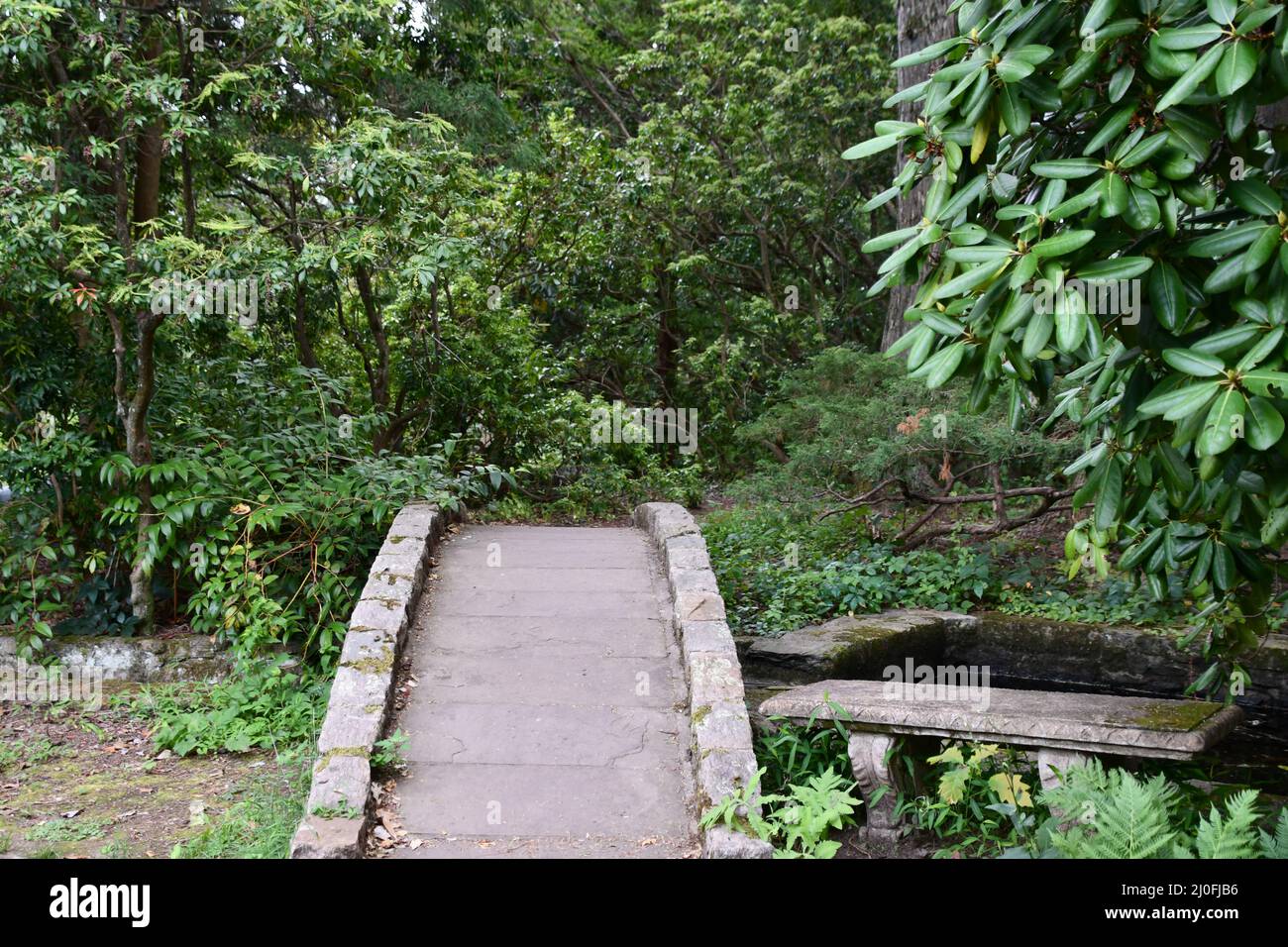 Lasdon park and arboretum hi-res stock photography and images - Alamy