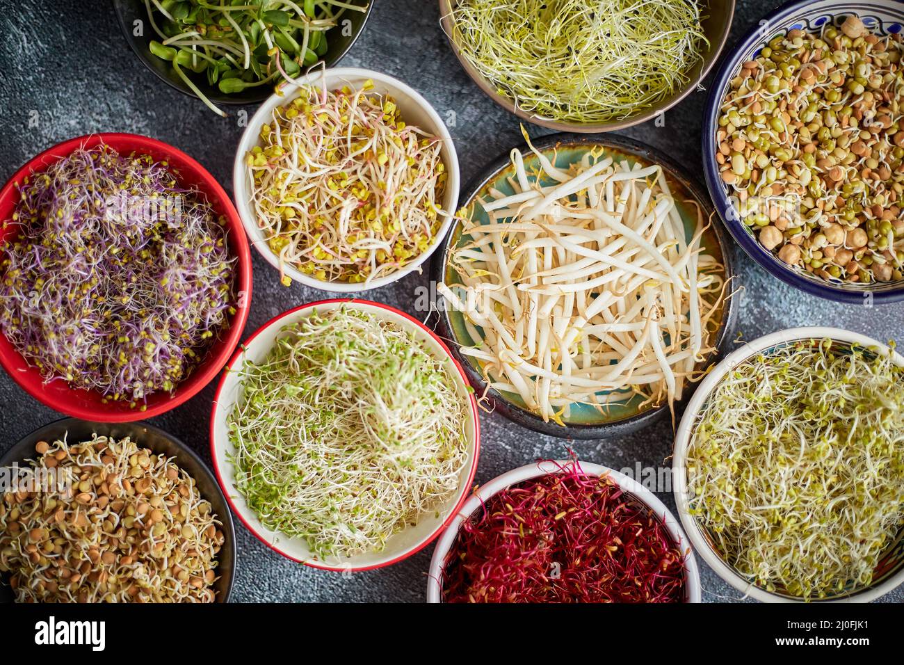Top view of various kinds microgreens sprouts in colorful bowls. Shoots ...