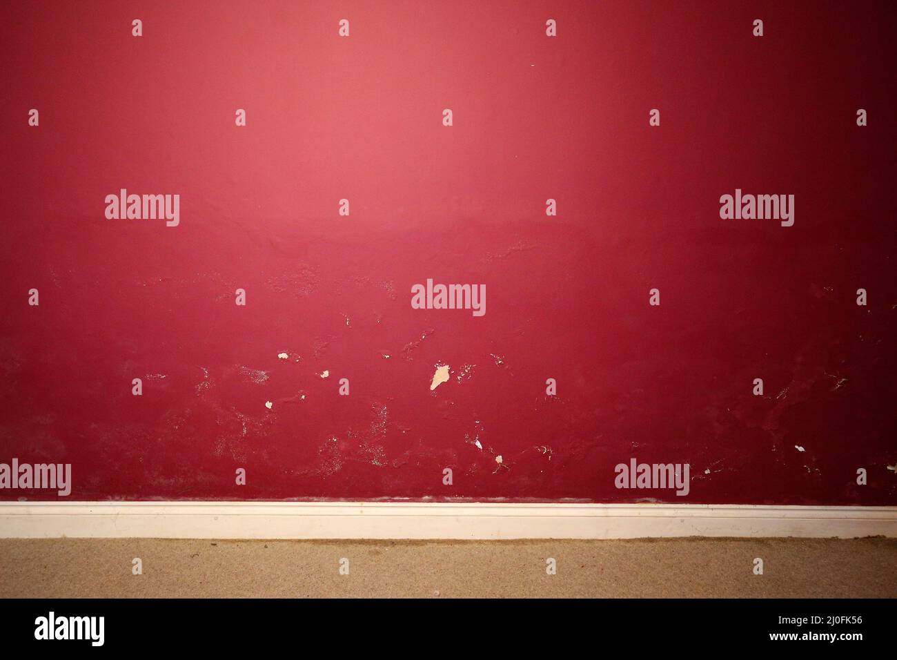 Interior wall damaged by damp Stock Photo - Alamy