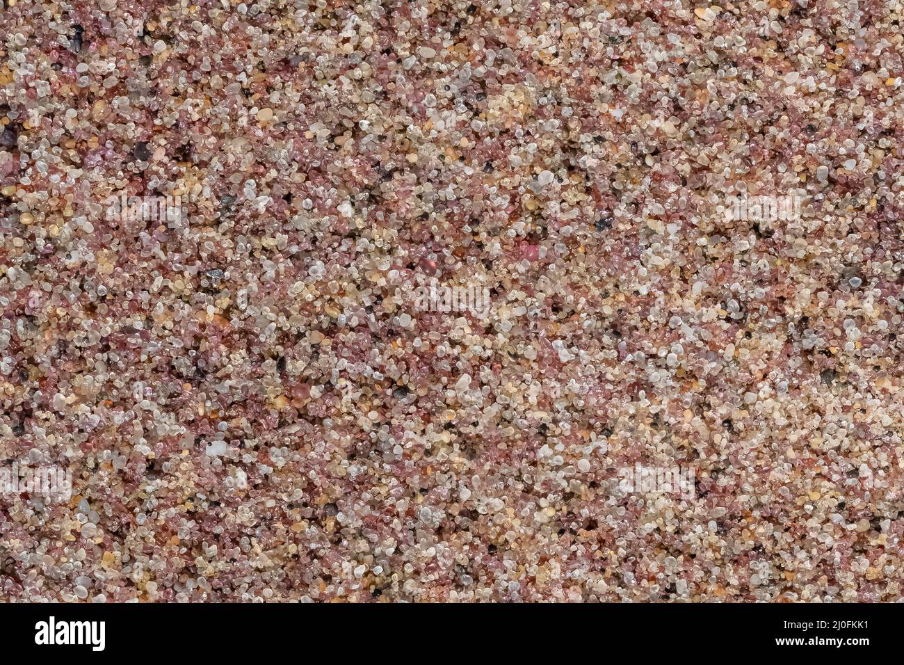 Namibia, pink grains of sand on the dunes, texture, background Stock ...
