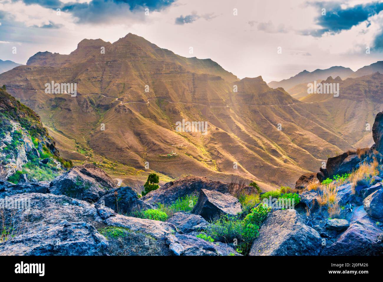Landscape hills forest road hi-res stock photography and images - Alamy