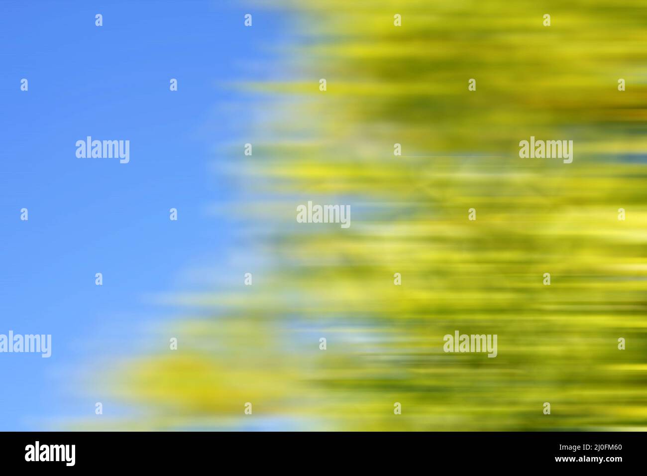Tree blur and blue sky background Stock Photo - Alamy