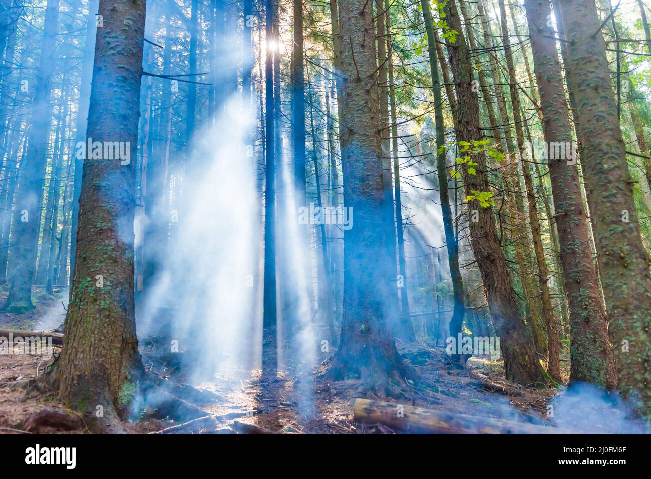 Green mist hi-res stock photography and images - Alamy