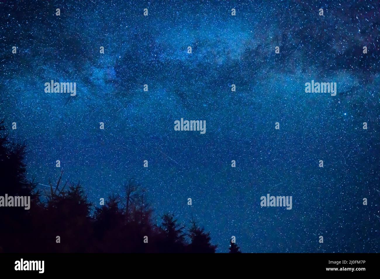 Forest night sky hi-res stock photography and images - Alamy