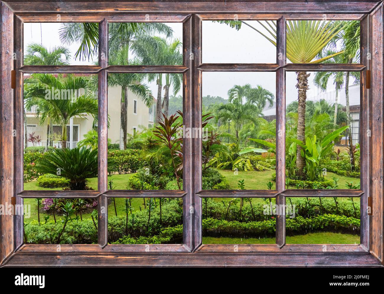 Tropical rain window view Stock Photo - Alamy