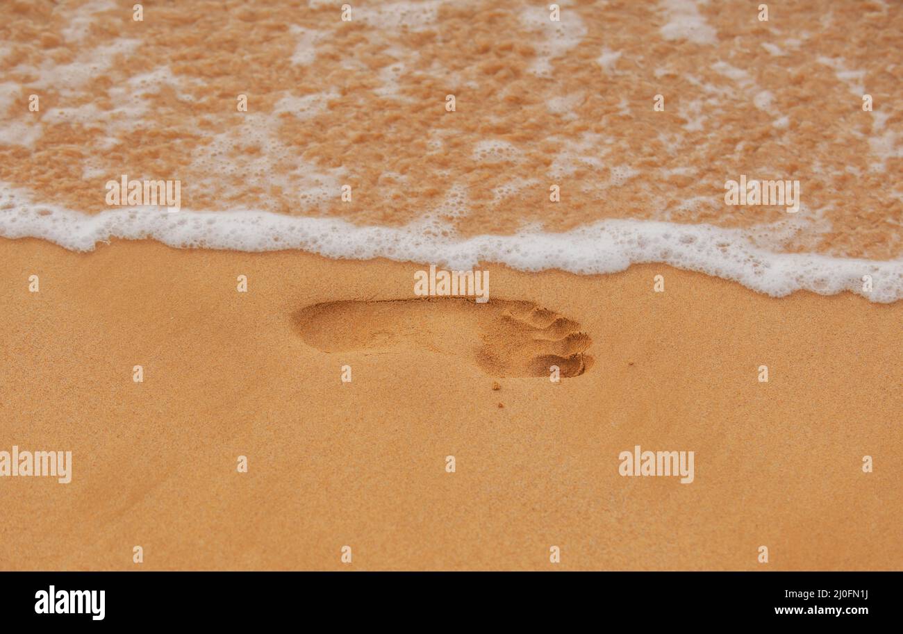 Texture background footprints of human feet on the sand on the sandy ...