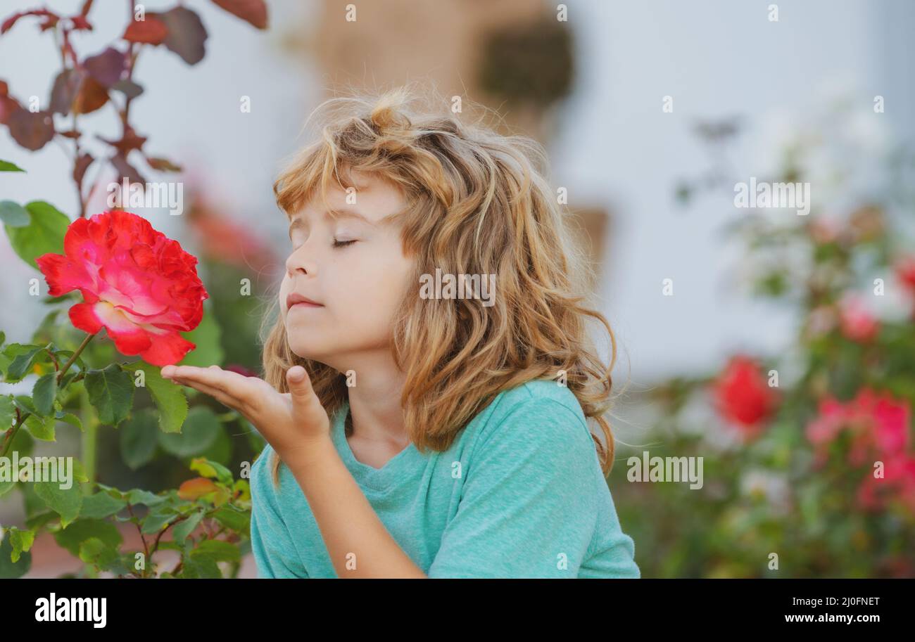 Child smelling flower. Kids funny face. Cute kid enjoy natural ...