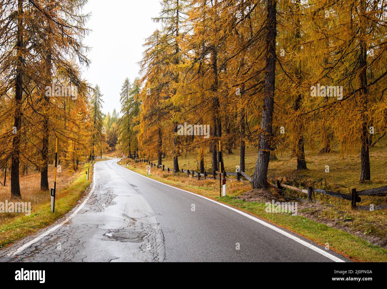 Empty road mountains trees hi-res stock photography and images - Alamy
