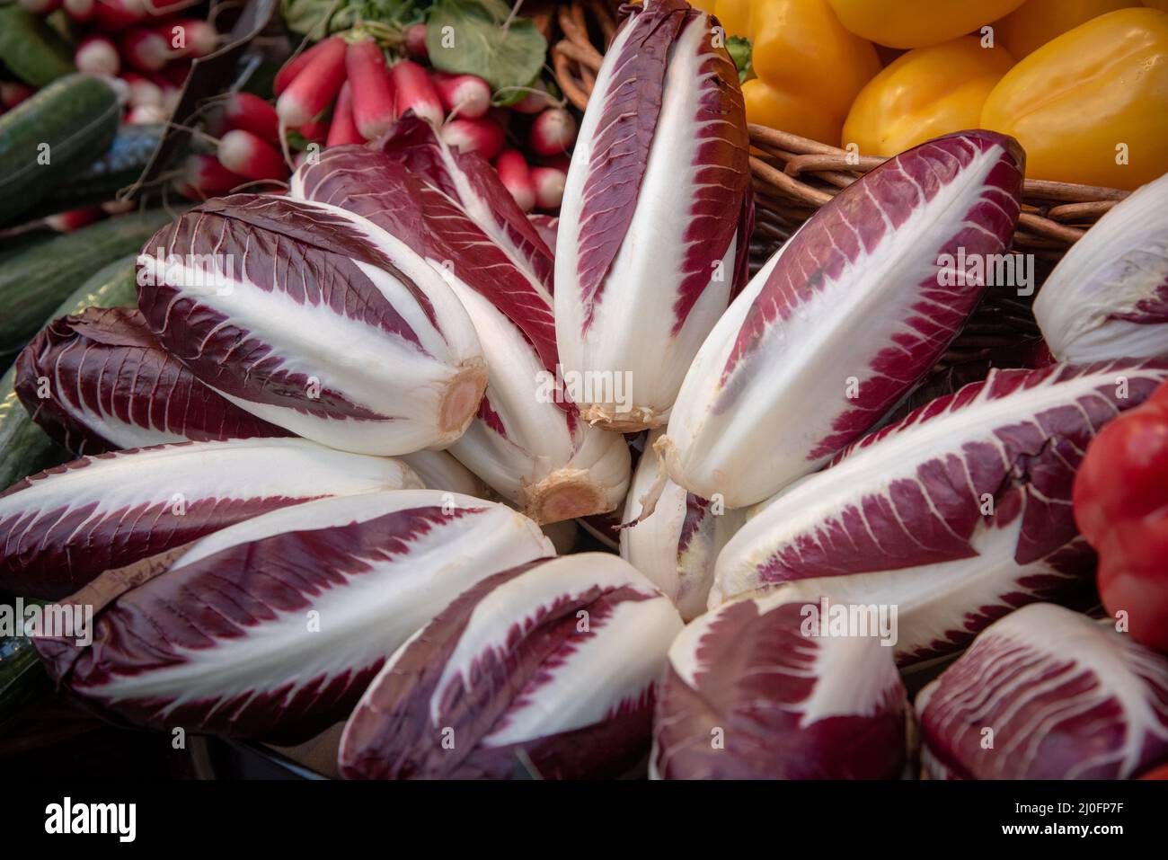 Red fresh lettuce leaves vegetables for a healthy lifestyle Stock Photo ...