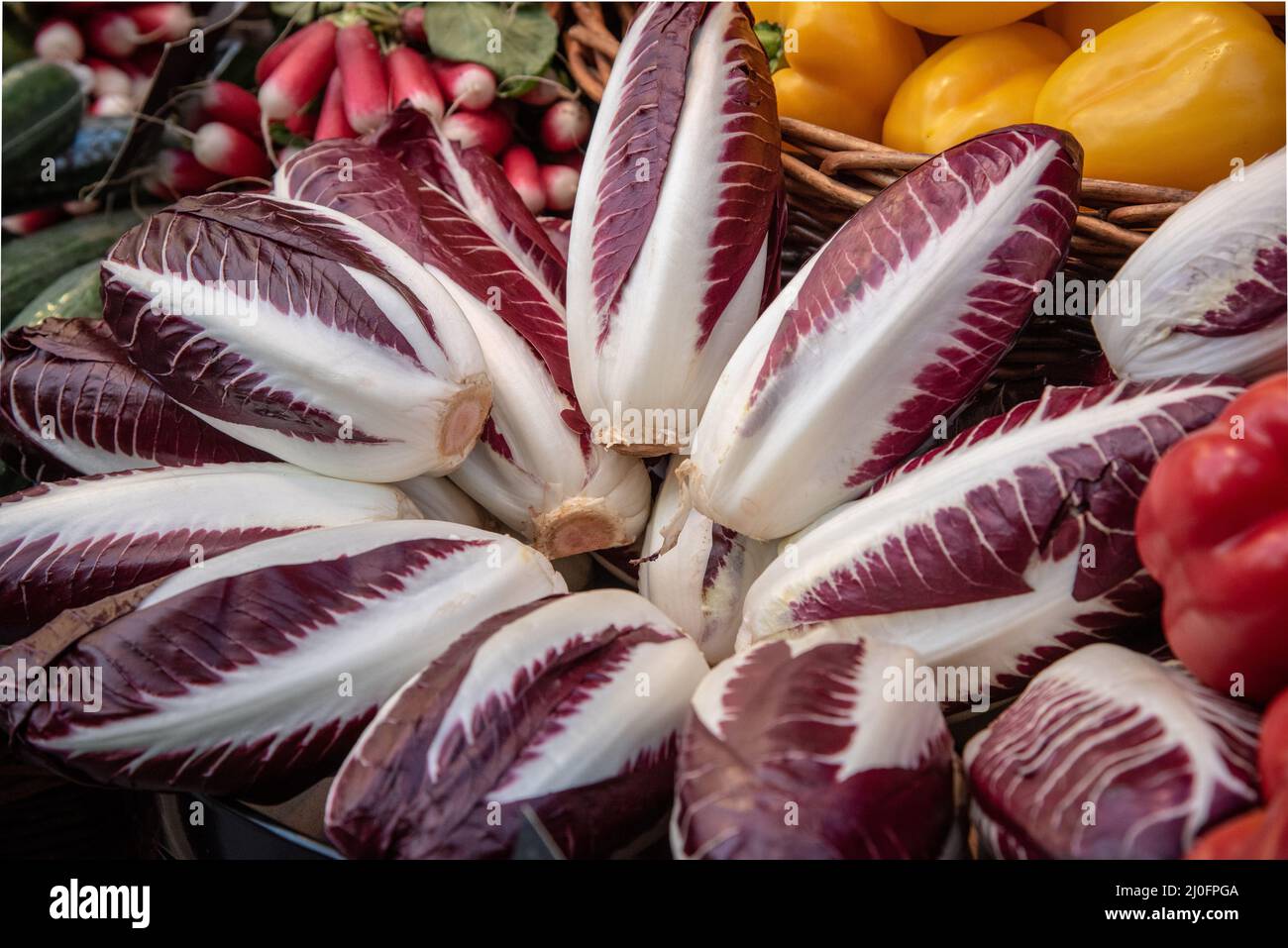 Red fresh lettuce leaves vegetables for a healthy lifestyle Stock Photo ...