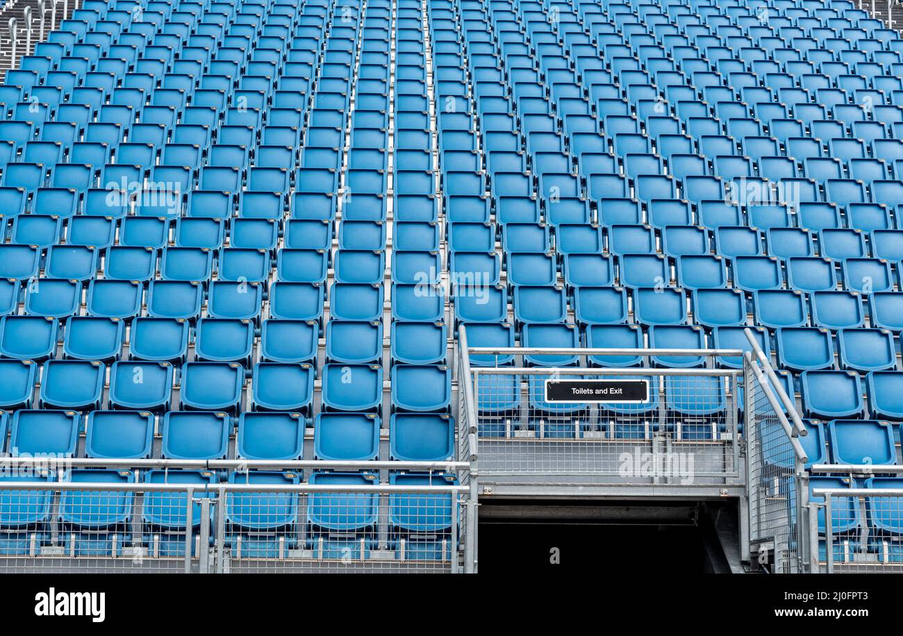Blue plastic empty stadium chairs in a row Stock Photo - Alamy