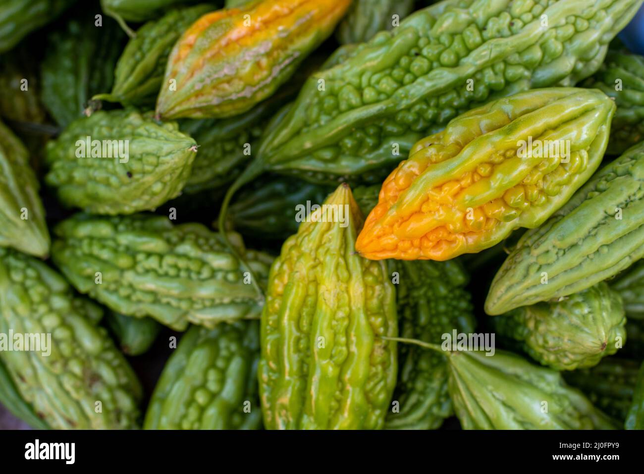 Kho Qua or Bitter lemon vegetable Stock Photo - Alamy