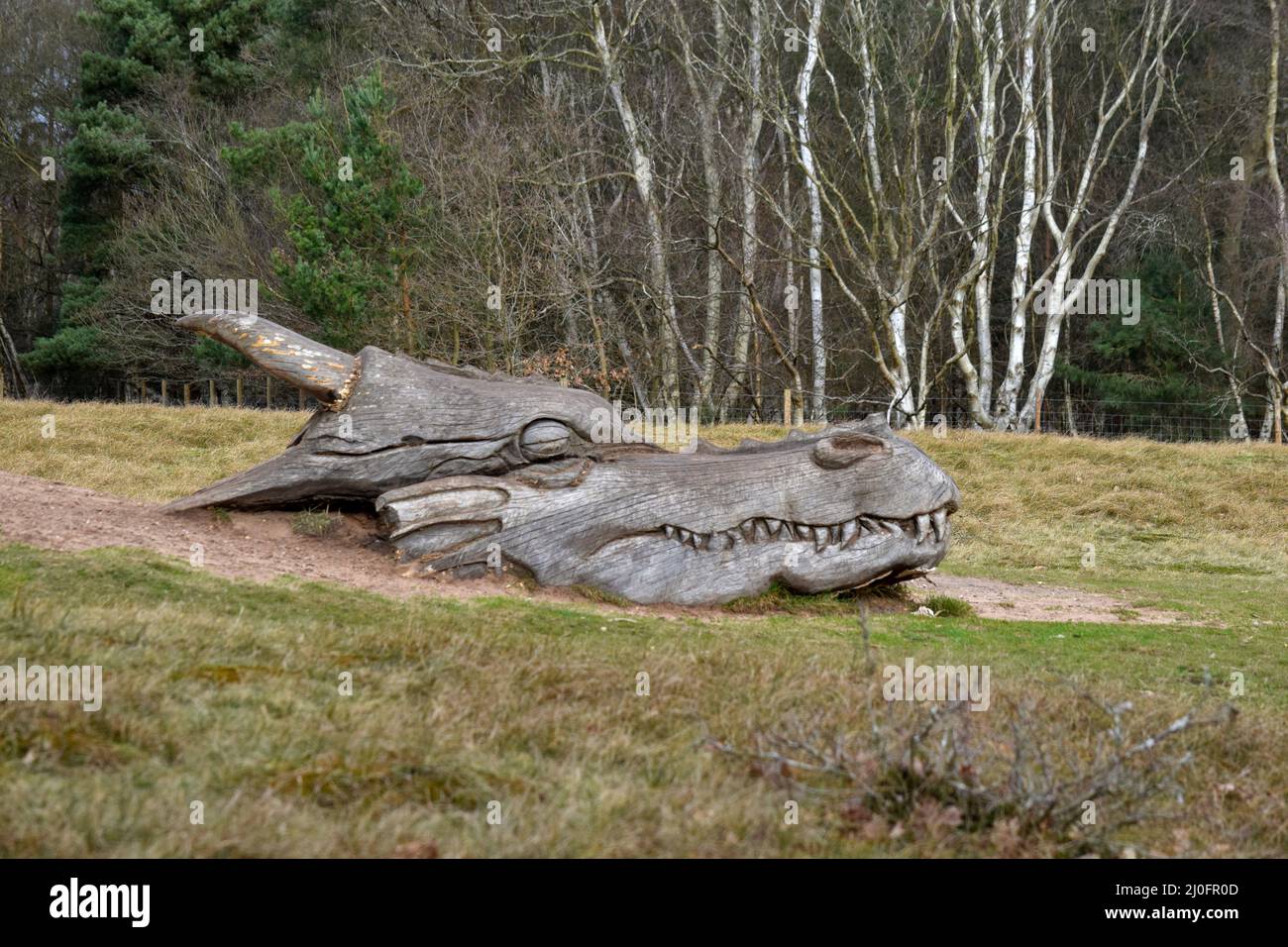 dragon head of anglo saxon boat, west stow country park, england Stock ...