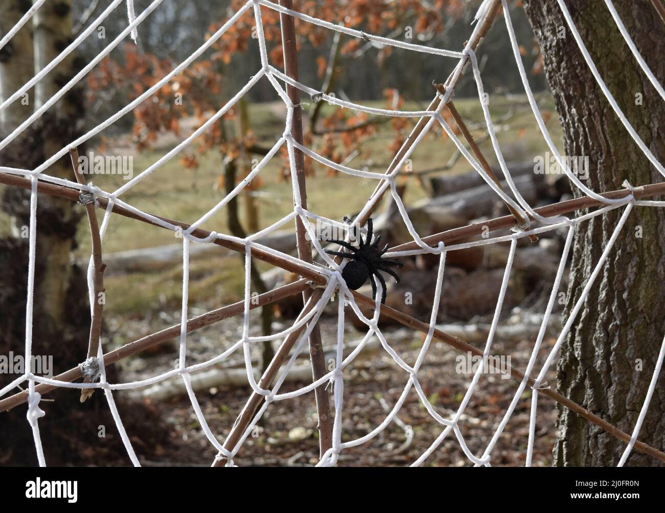 fake spider's webs, halloween, west stow country park, suffolk Stock ...