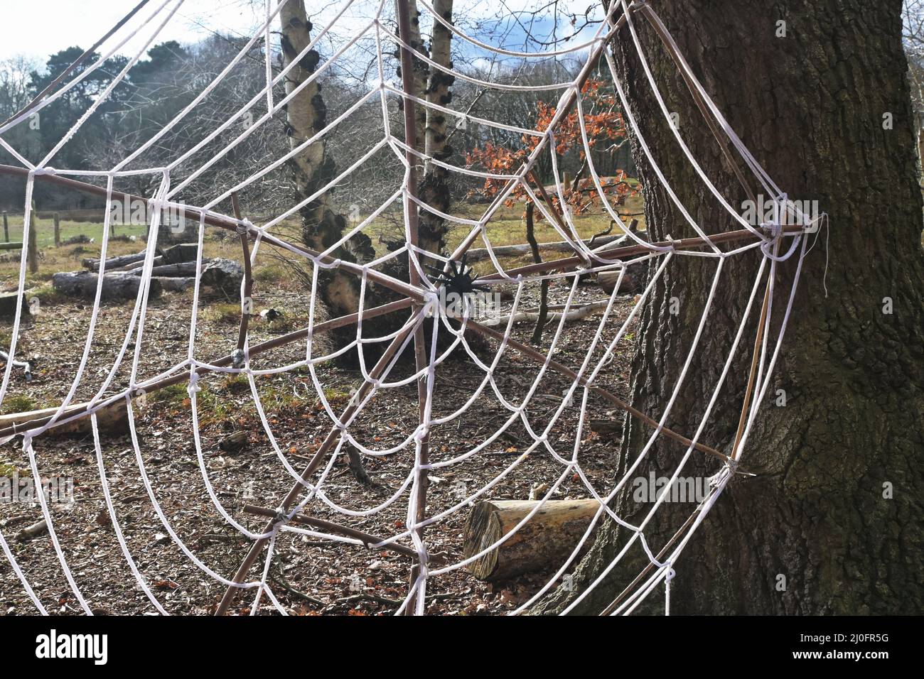 Fake spider web hi-res stock photography and images - Alamy