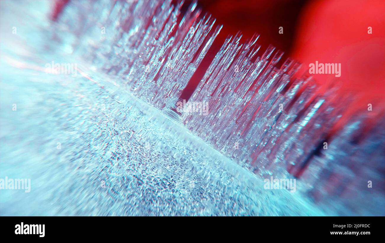 Blue thorn hi-res stock photography and images - Alamy