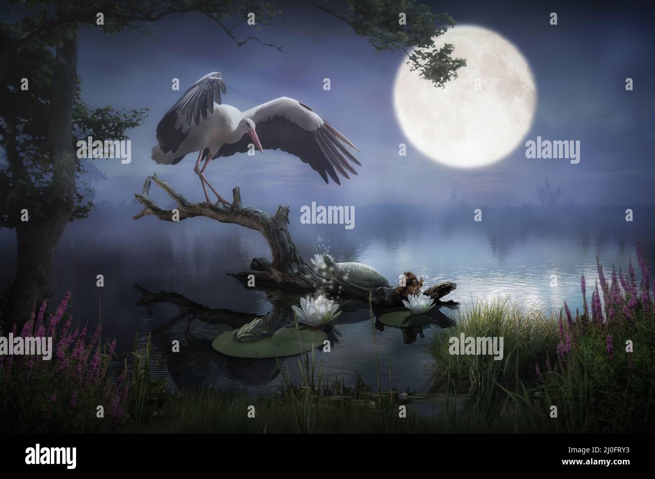 Dance branch hi-res stock photography and images - Alamy