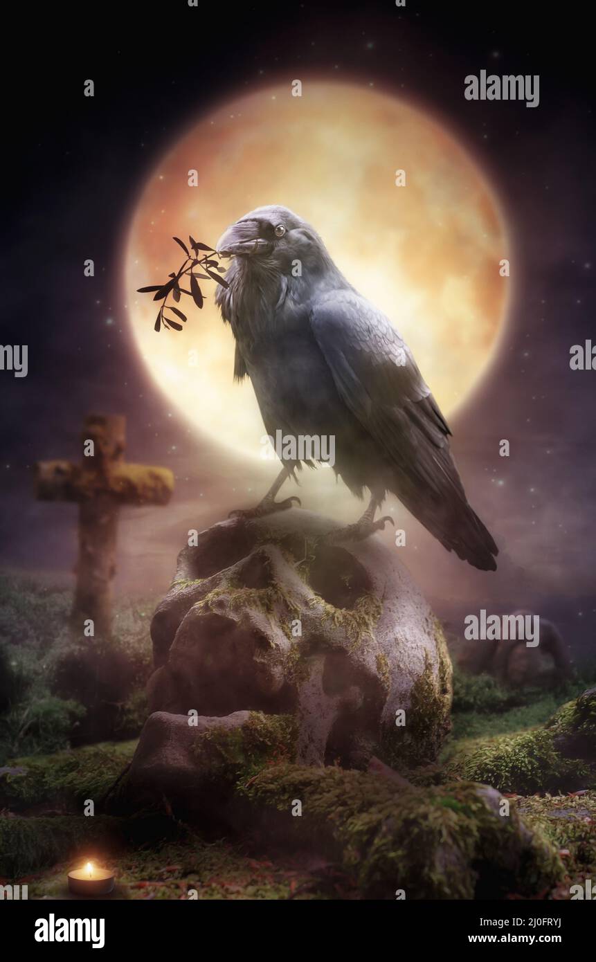 Raven with moon hi-res stock photography and images - Alamy