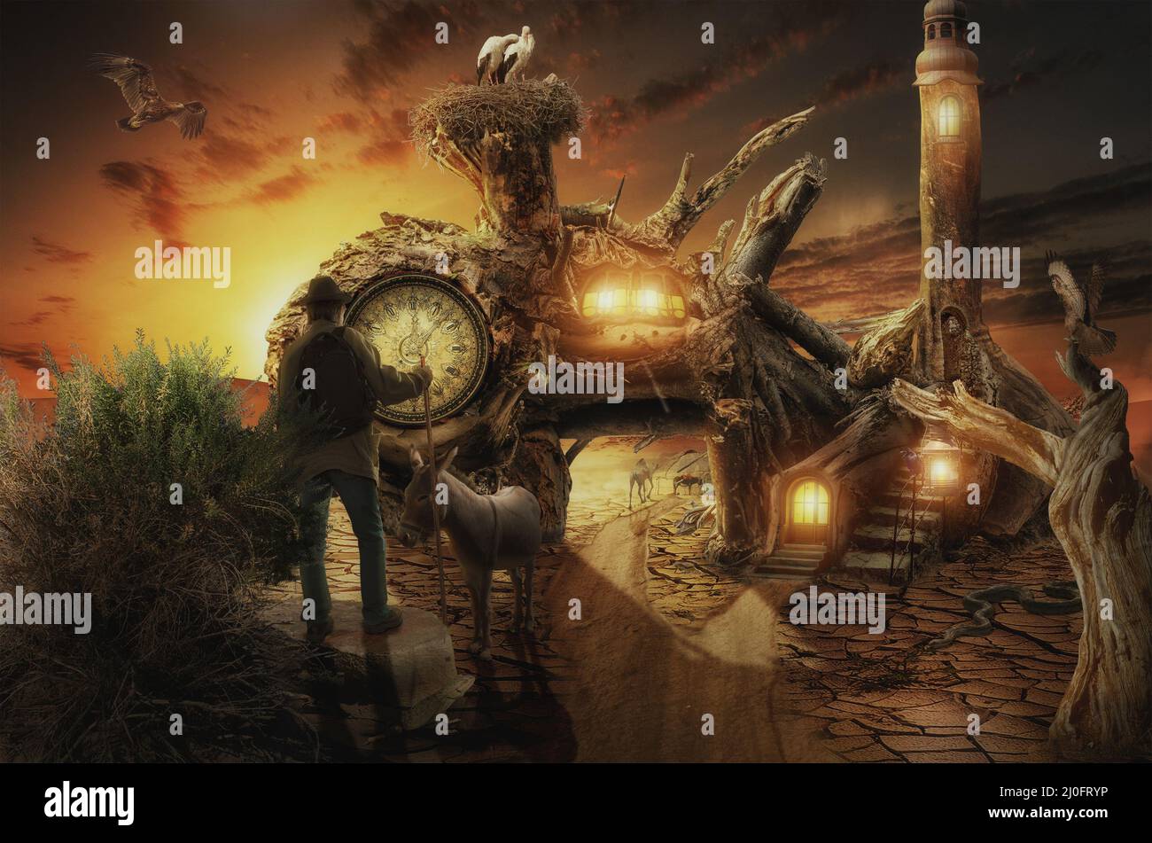 Difficult to adapt hi-res stock photography and images - Alamy