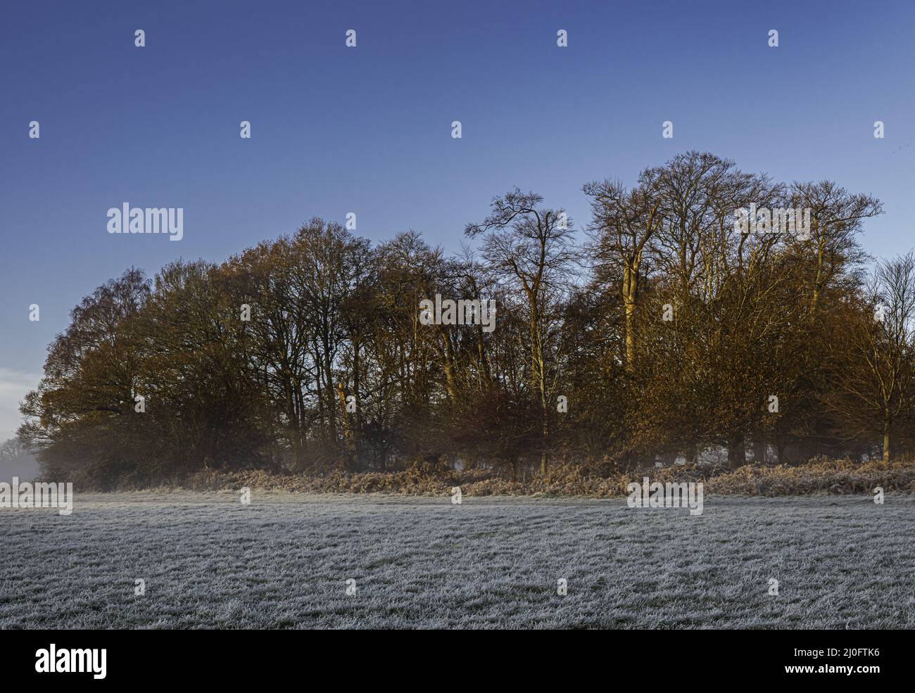 Frosty pathways hi-res stock photography and images - Alamy