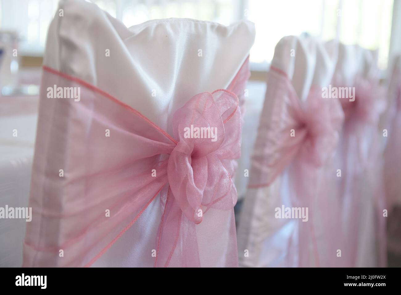 Selective focus shot of chairs dressed with white cloth and pink ribbon ...