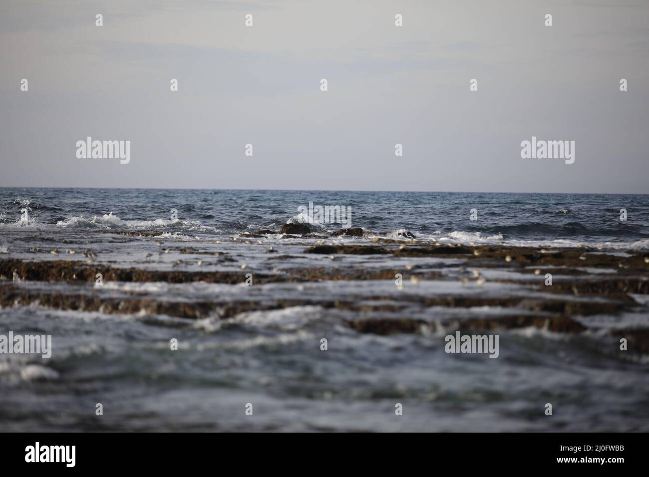 low waves on the shore of a beach High quality Stock Photo - Alamy