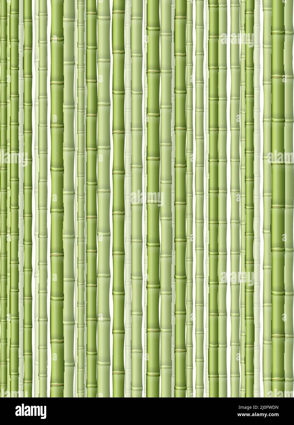 Green bamboo stick pattern background. Vector illustration Stock Vector ...