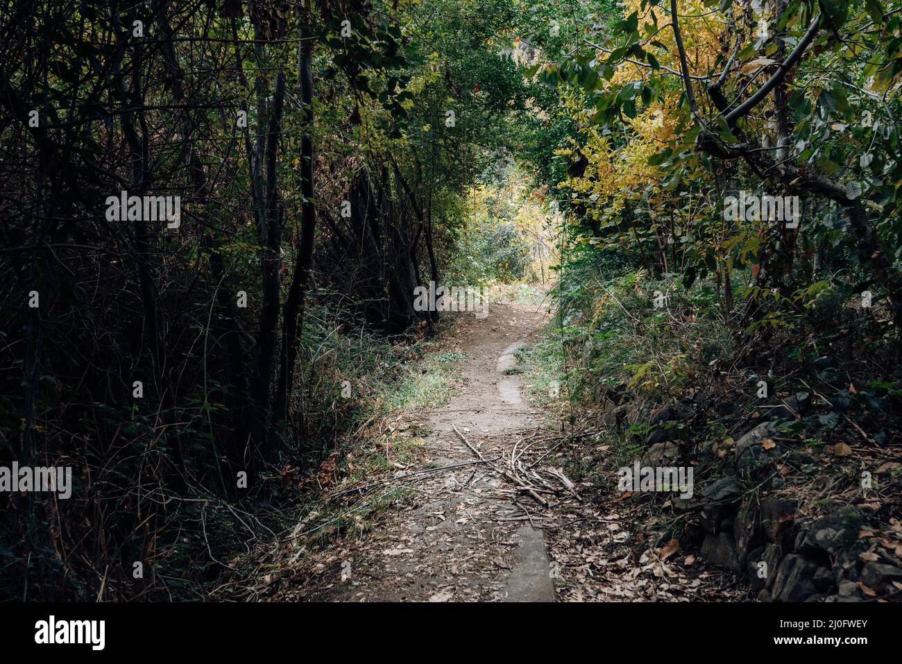 Autumn landscape hiking walking path in fall season Stock Photo - Alamy