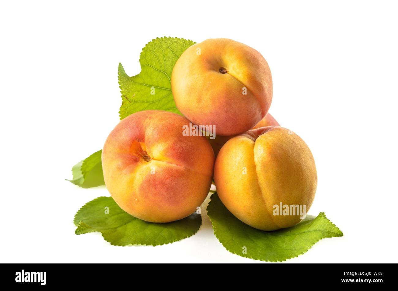 Nutrition apricot hi-res stock photography and images - Alamy