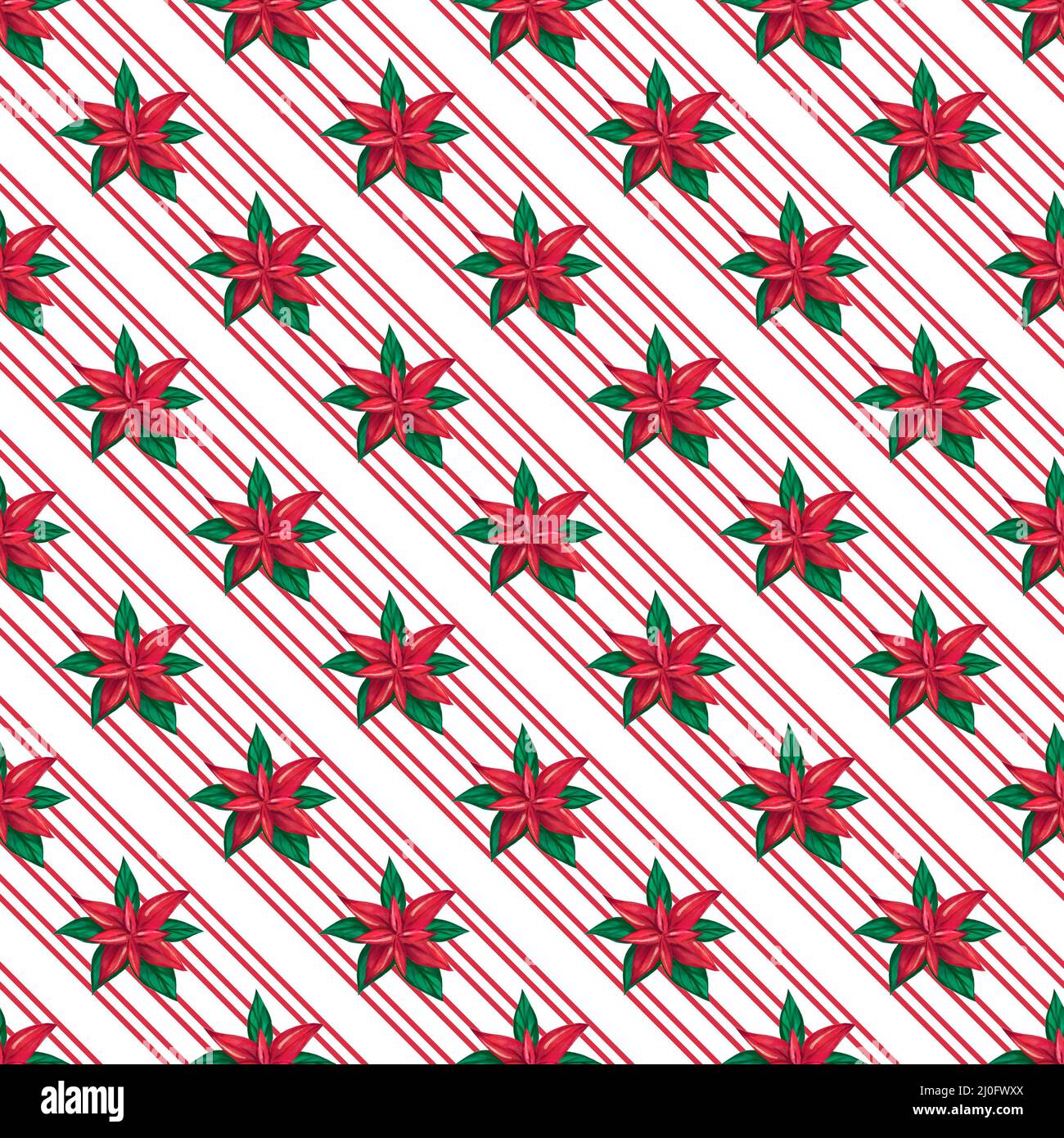 .poinsettia seamless pattern. Christmas watercolor pattern. Holly ...