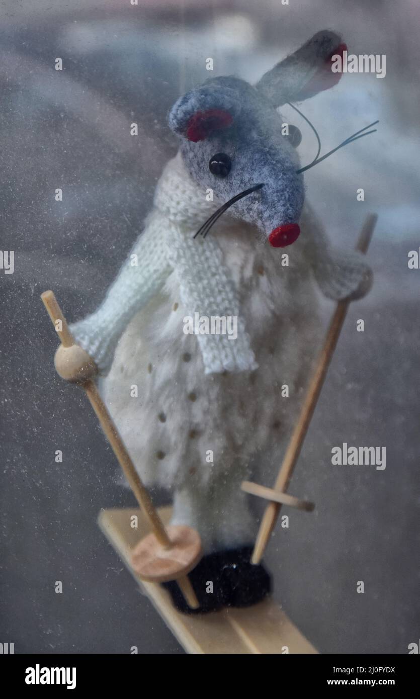 model rat on skis in window display, england Stock Photo - Alamy