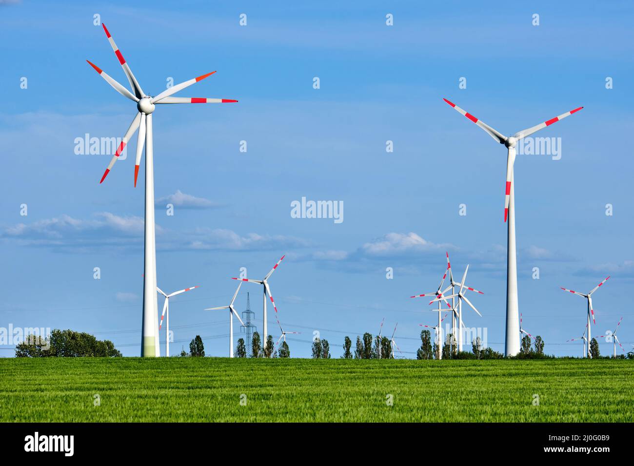 Modern wind energy generators in a cornfield seen in Germany Stock ...