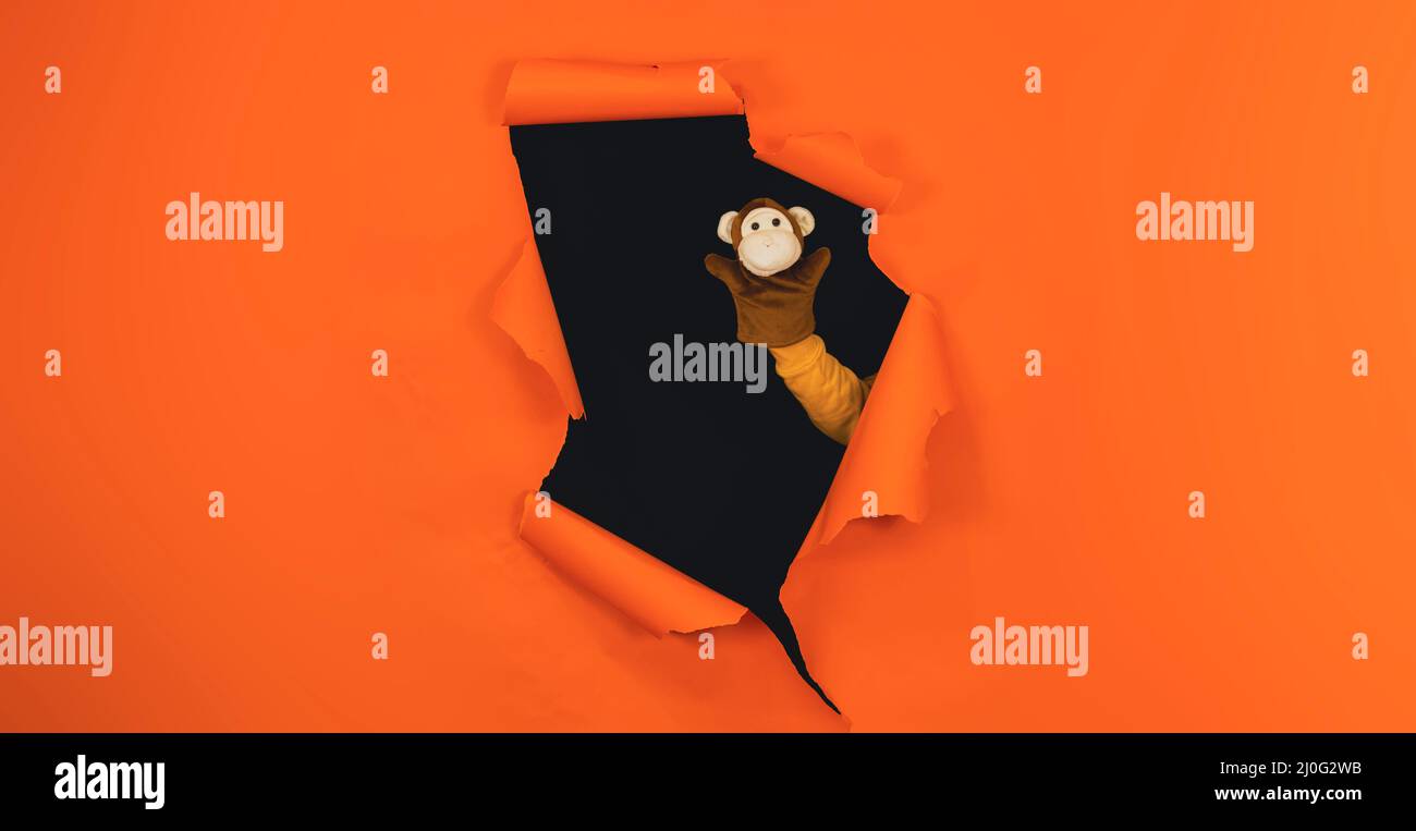 Soft puppet toy on hand sticking out of hole of orange background ...
