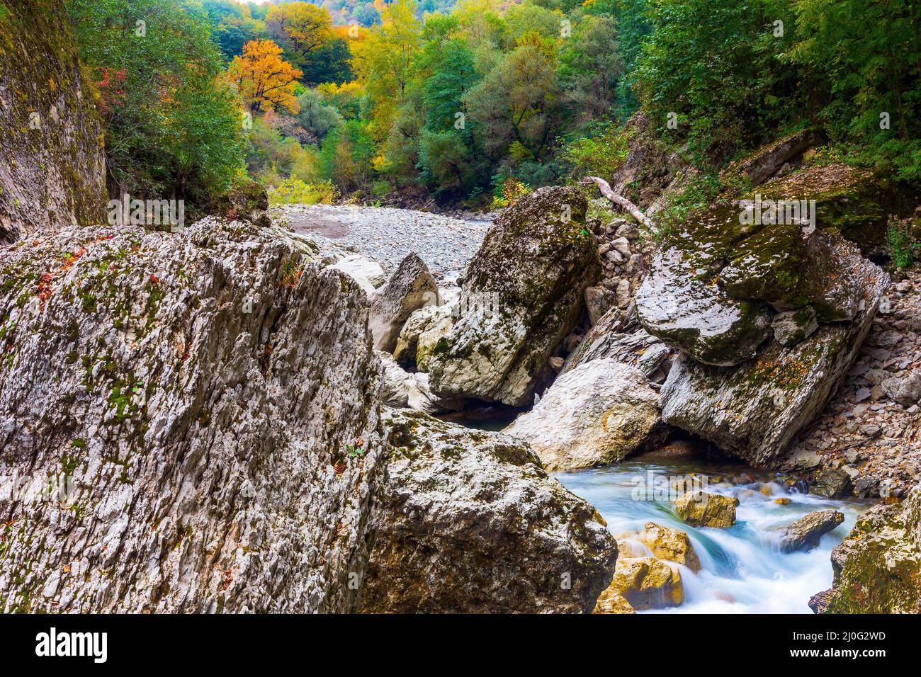The emerald forest hi-res stock photography and images - Alamy
