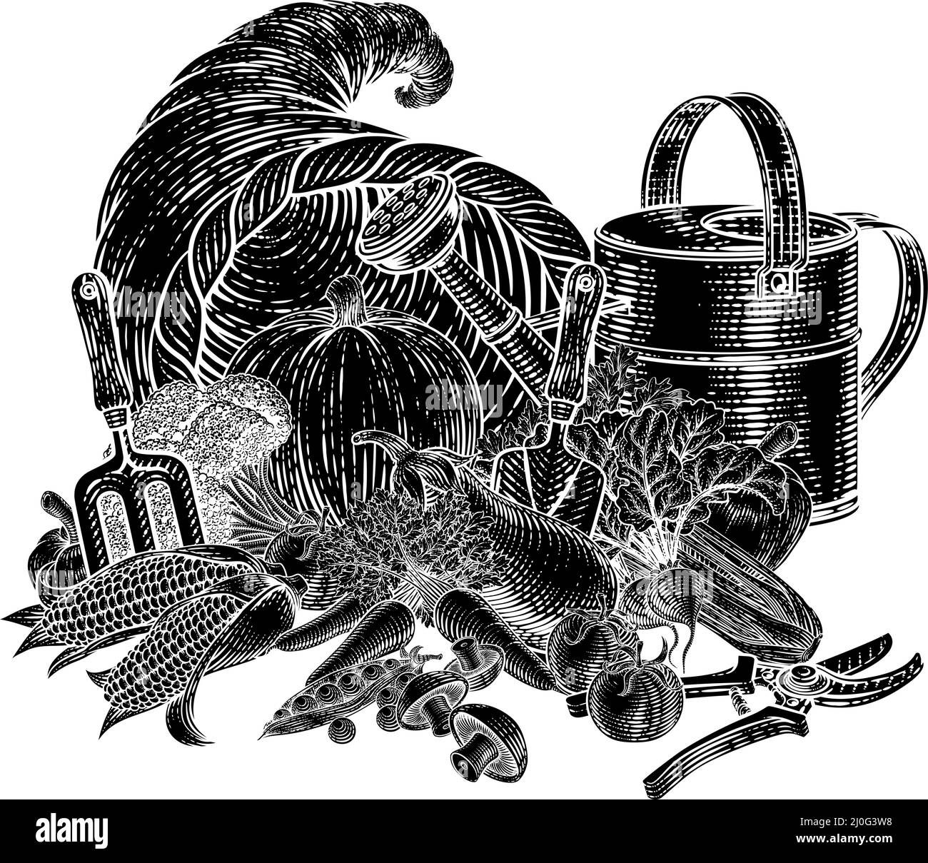 Cornucopia Black and White Stock Photos & Images - Alamy