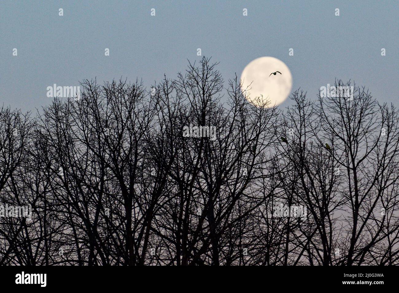 Full moon sets behind hi-res stock photography and images - Alamy