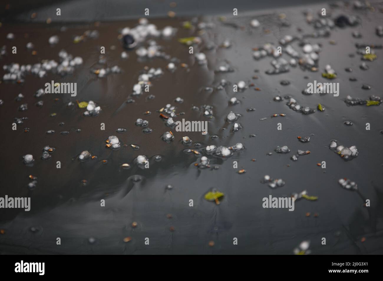 small hail ice balls on black car bonnet after summer storm Stock Photo ...
