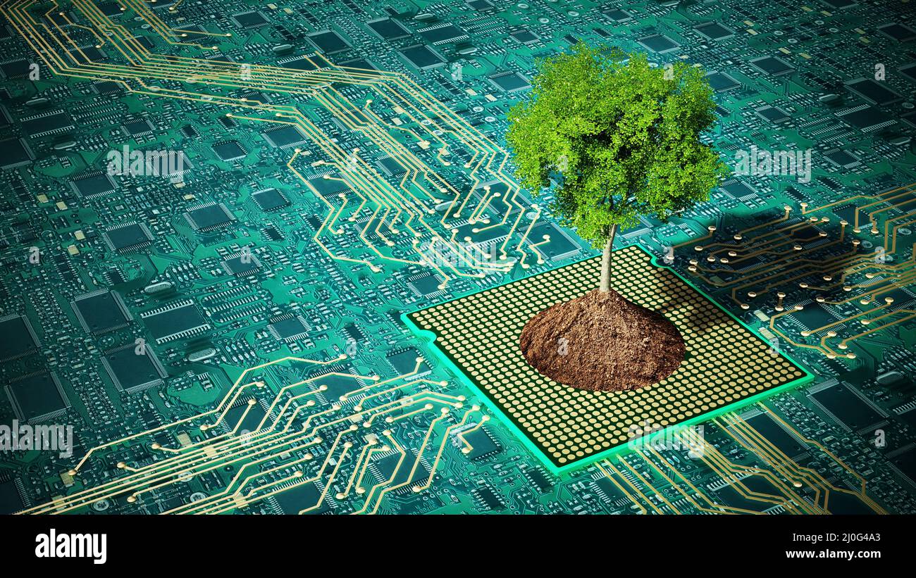 Tree with green leaves with soil standing on PCB. 3D illustration Stock ...