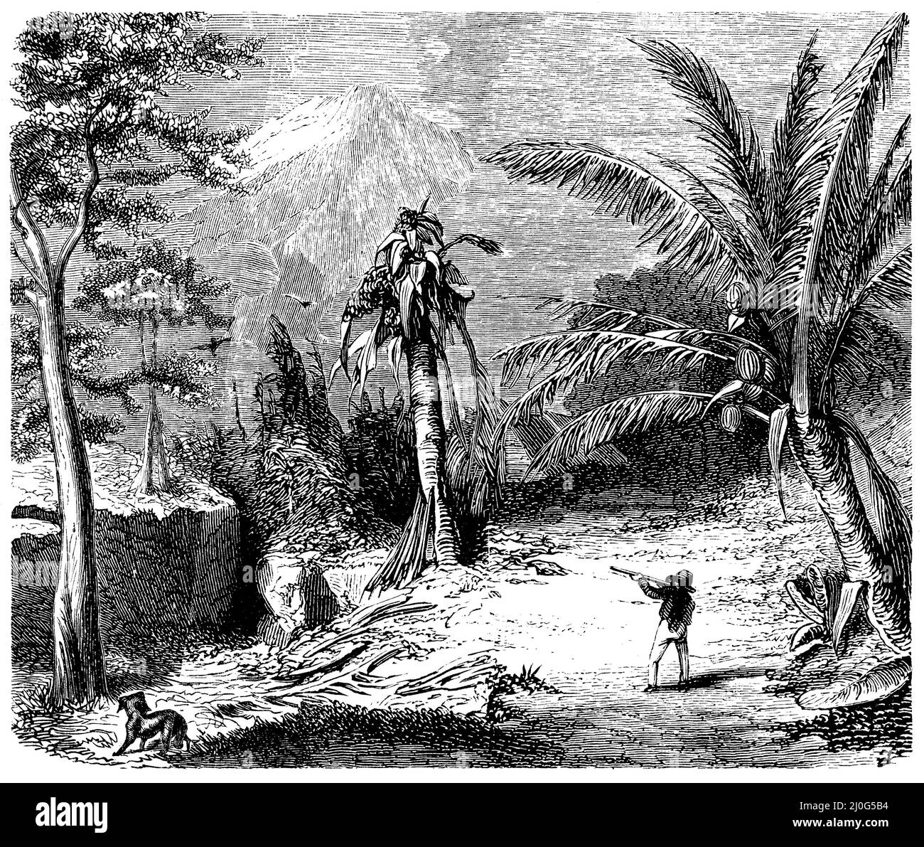 Exit from the Death Valley on Java, , (geography book, 1885), Austritt ...