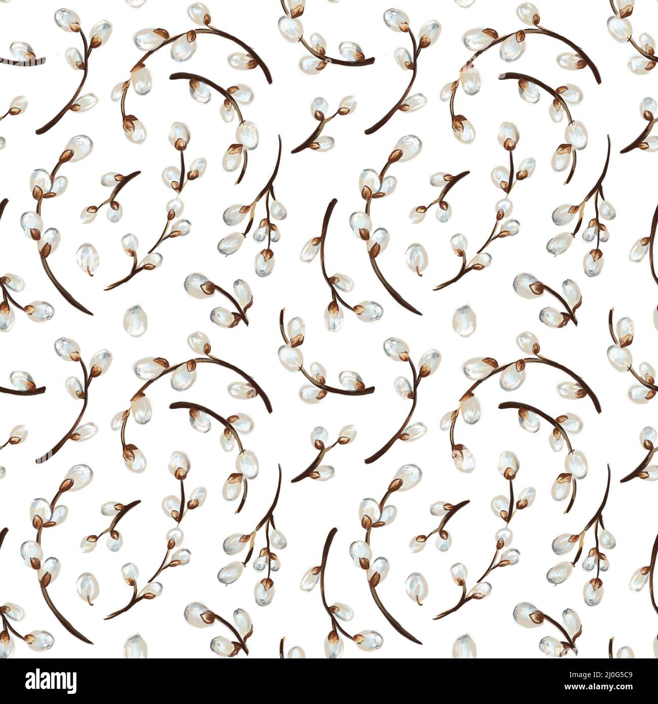 Willow twig seamless pattern. Easter pattern. Hand-drawn illustration Stock Photo - Alamy