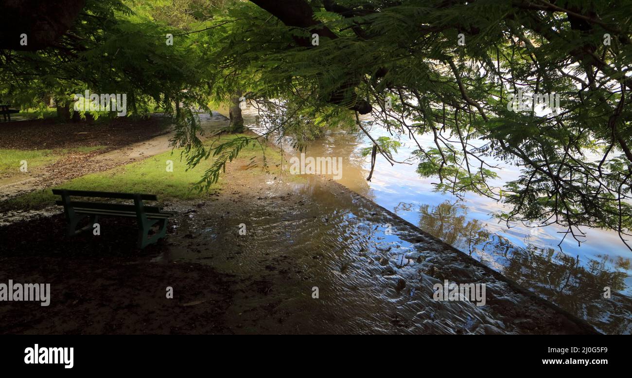 Newstead park hi-res stock photography and images - Alamy