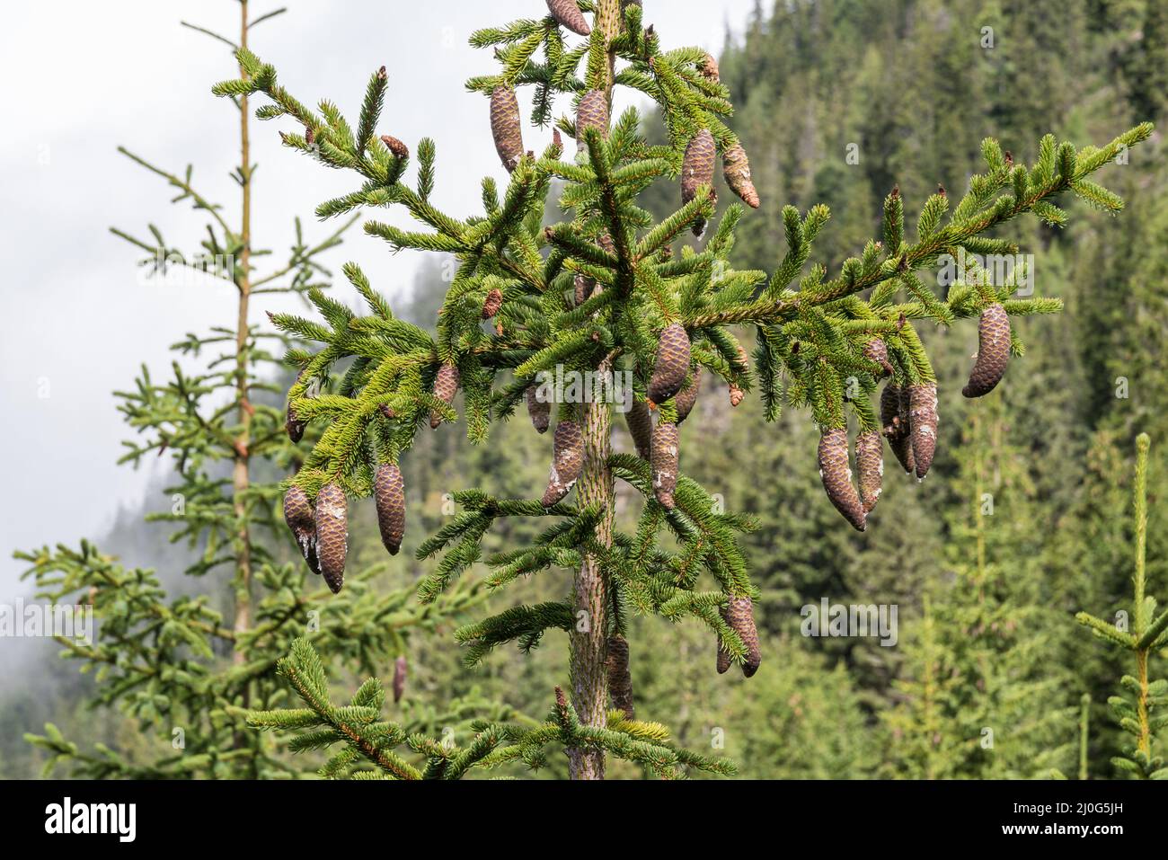 Eye level hi-res stock photography and images - Alamy