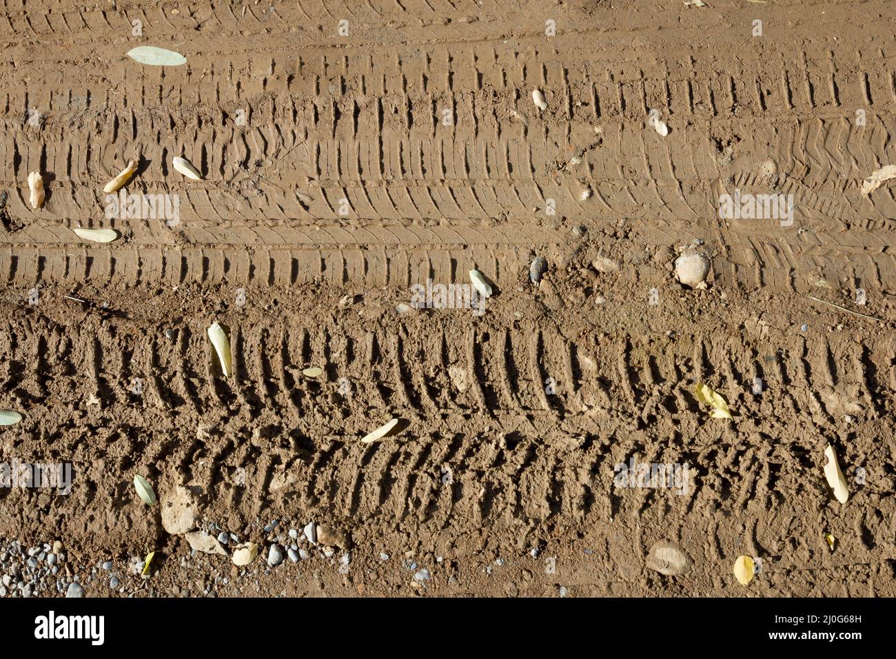 Track texture off road hi-res stock photography and images - Alamy