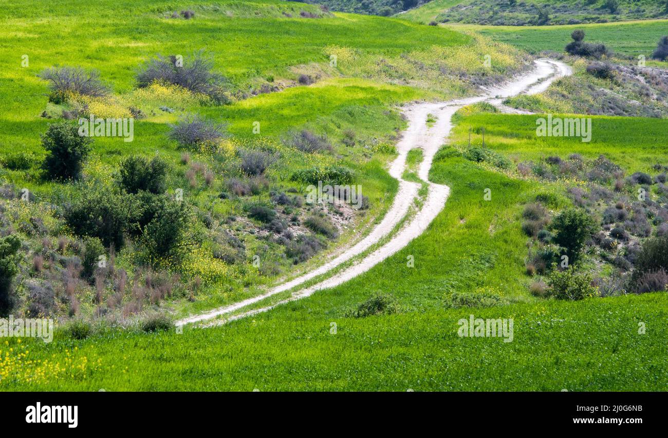 Single lane country road through a green field Stock Photo - Alamy