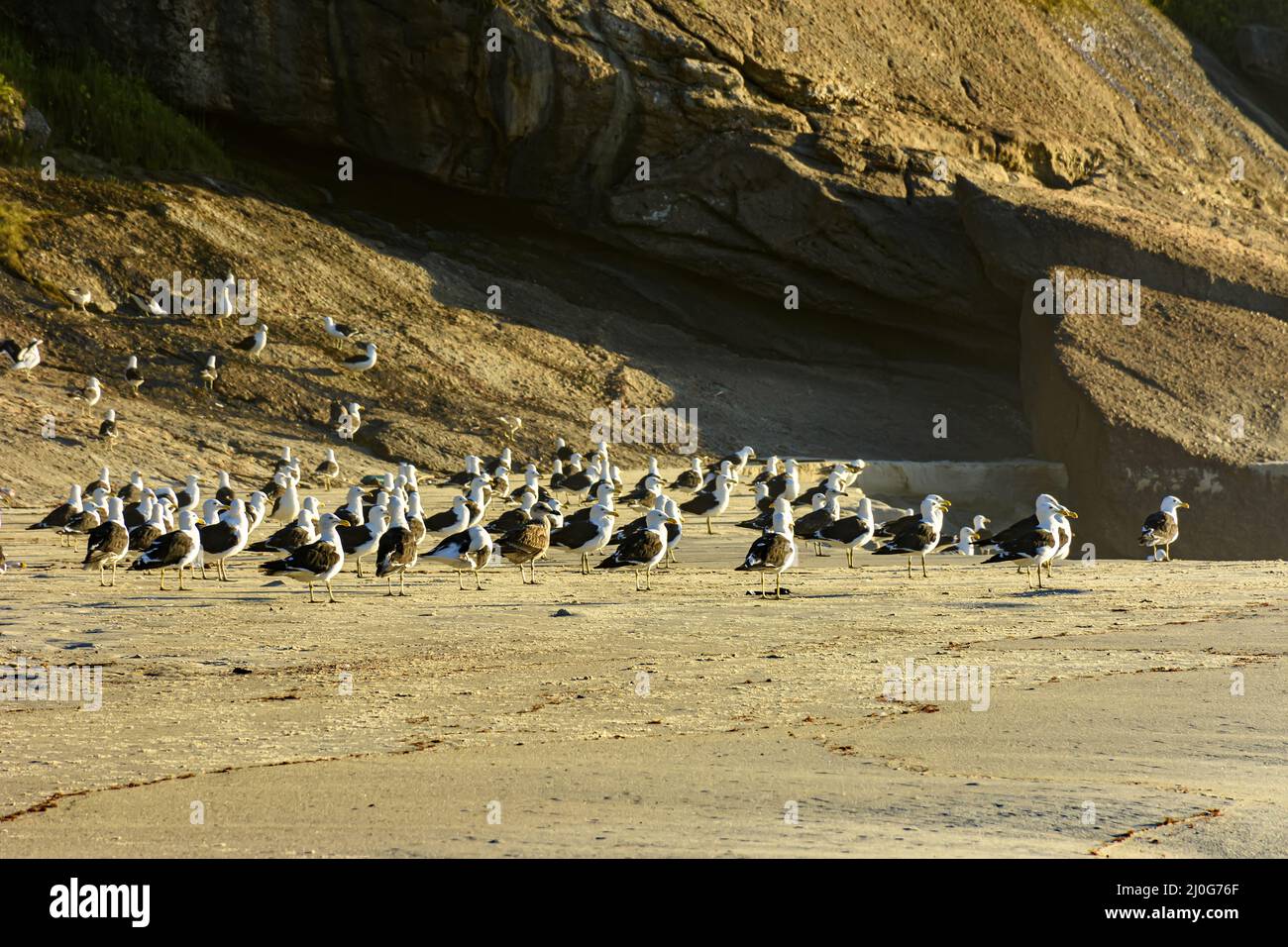 Multiple rocks hi-res stock photography and images - Alamy