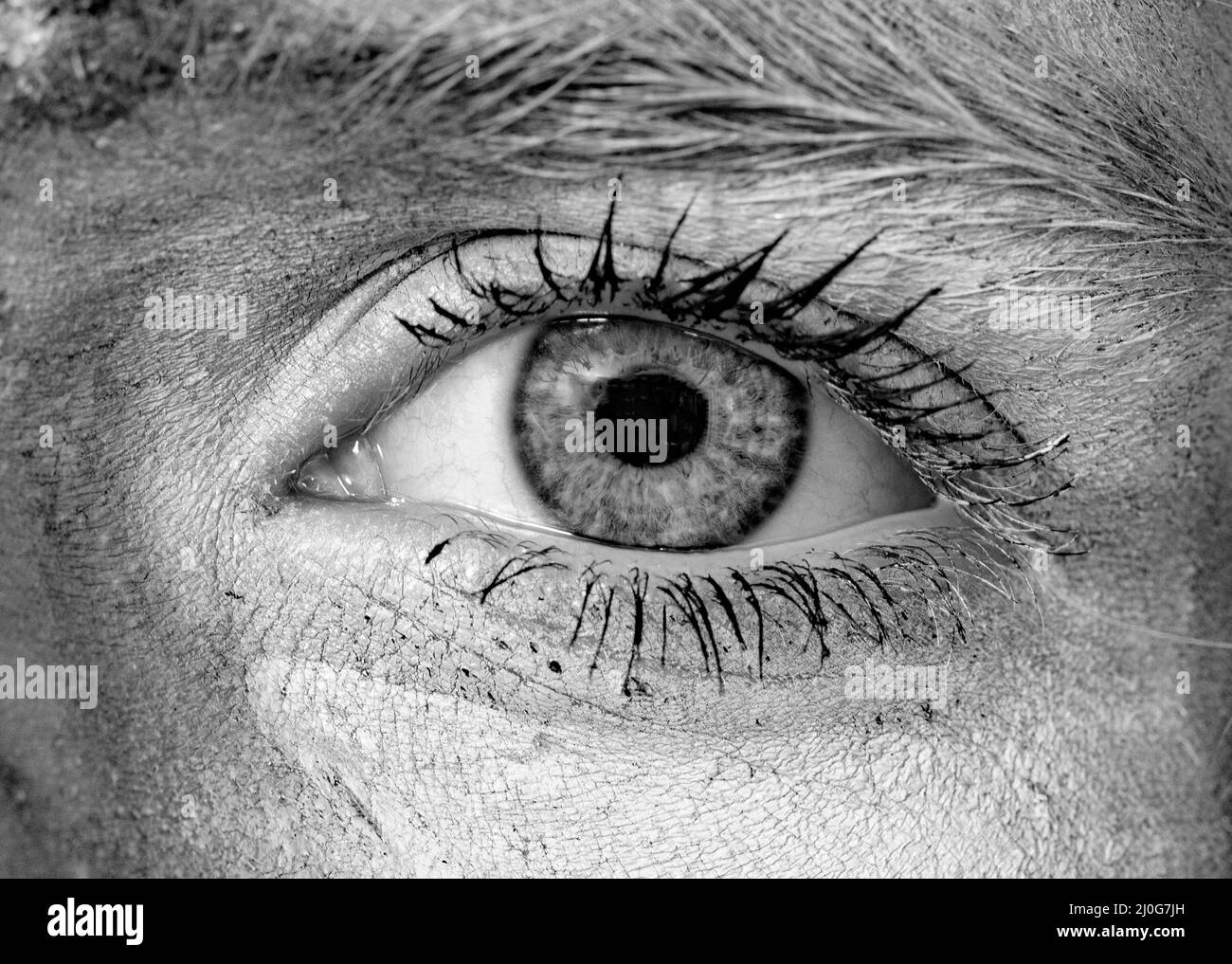 detail of eye in blue painted colorful face Stock Photo - Alamy