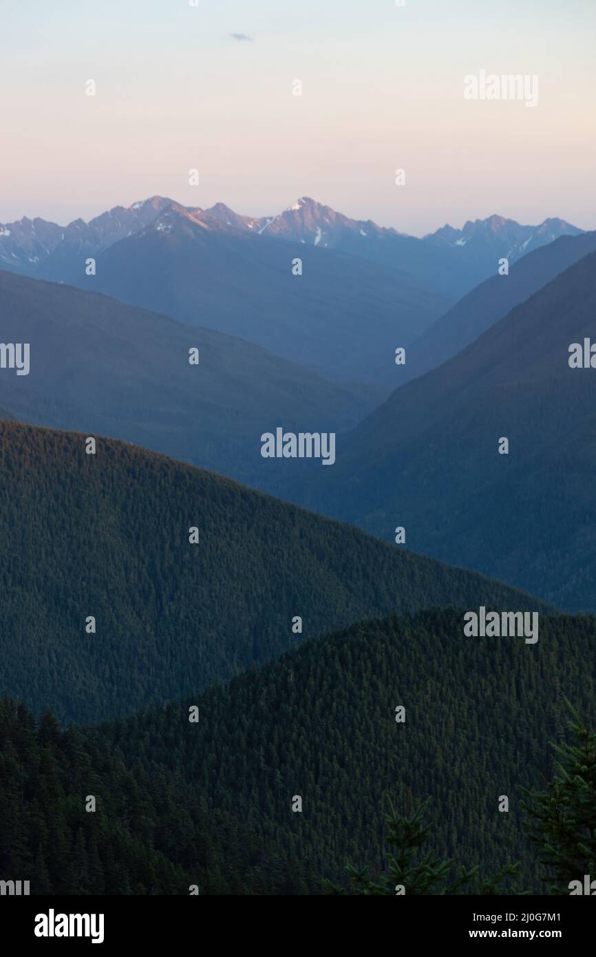 layers of rolling forest mountain peaks in evening Stock Photo - Alamy