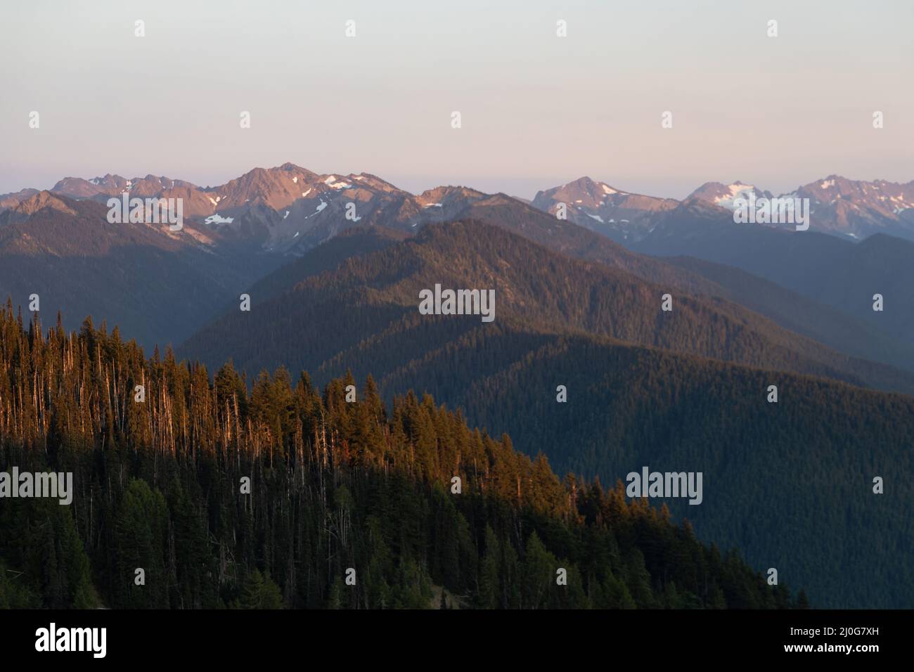 wide rolling mountain ridges with forest and snow Stock Photo - Alamy